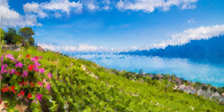 Internal programs - Bernoulli Center